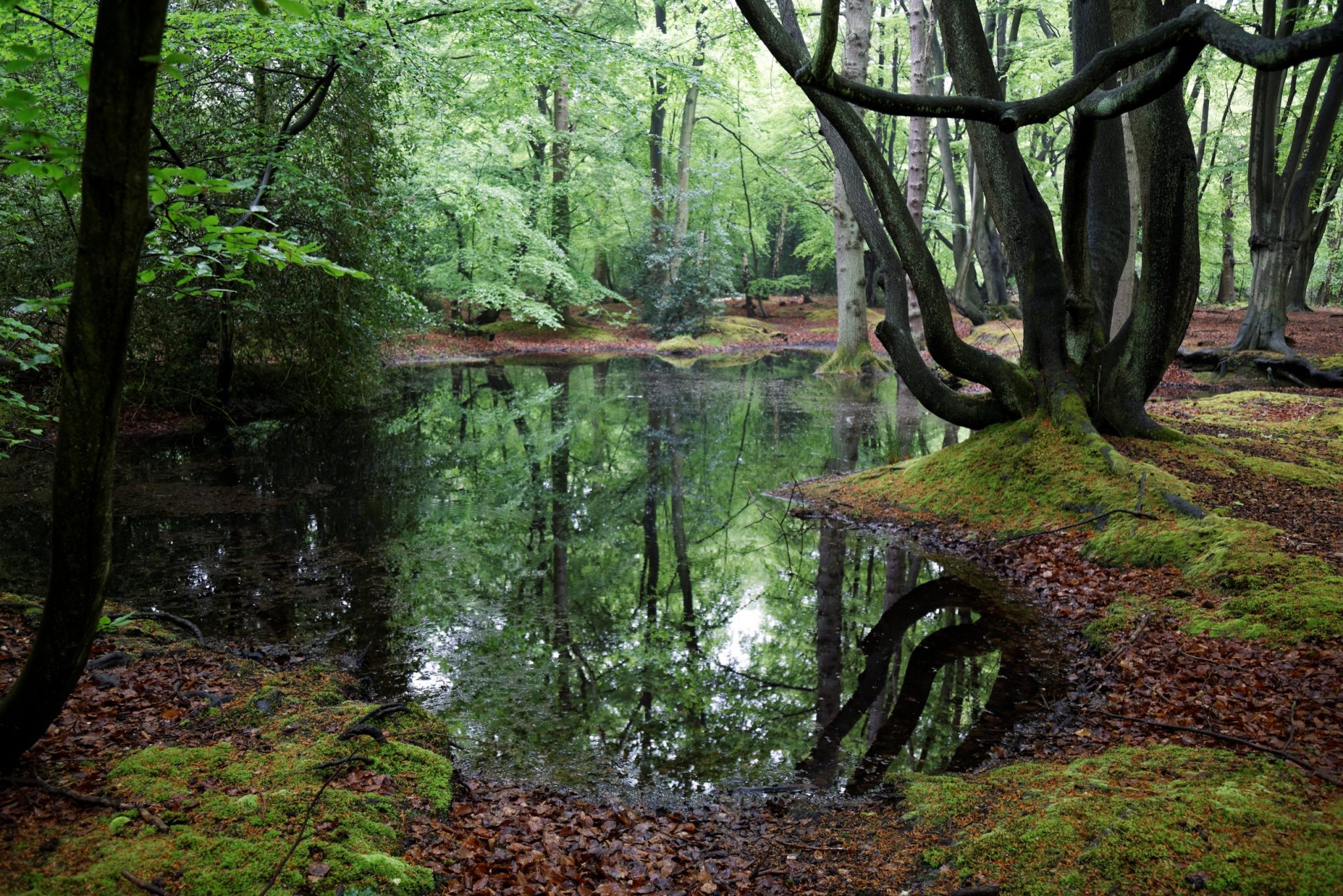 Celebrate Halloween With These 4 Haunted Rides - BIKE Magazine