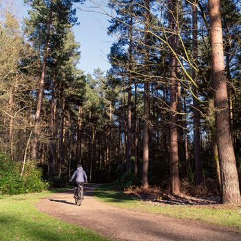 Traffic-Free Cycle Trails legacy continues - BIKE Magazine